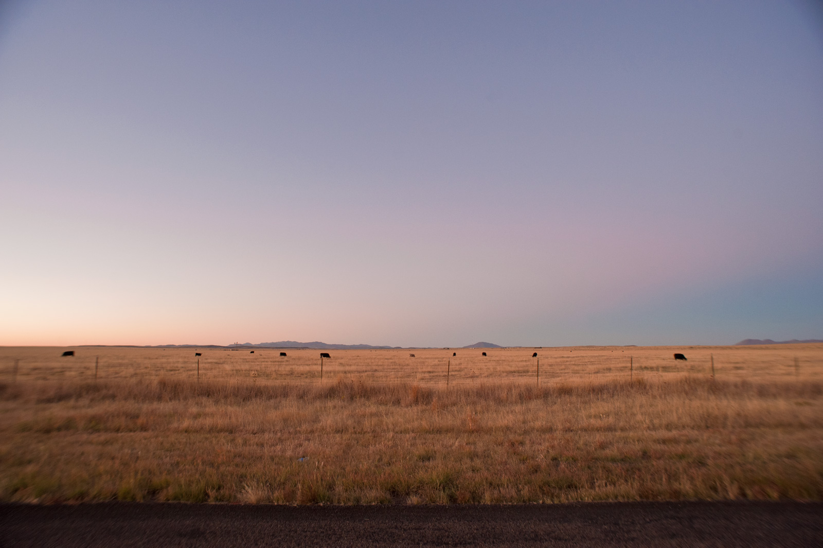 So You’re Coming to Marfa Myths: Where to Stay (Part Two in a Series ...